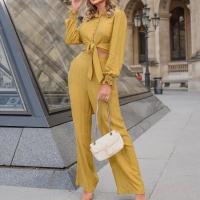 China Wholesale 2023 Spring Fashion Solid Color Single-Breasted Long-Sleeved Shirt High Waist Elastic Pants Women&prime;s Casual Suit for sale