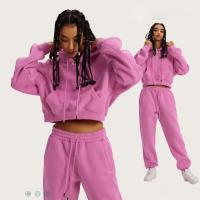 China Custom Casual Tracksuit Oversized Sweatshirt Training Wear Plain Dyed for sale