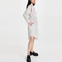 China Ladies Collared Neck Dresses Long Sleeve Side Pocket Cotton Striped Print Shirt Dress for Women for sale