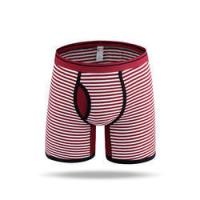 China Seamless Natural Feelings Underwear Customized Logo With Pouch Panies for sale