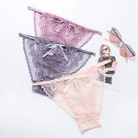 China Sexy Lace Panties Transparent Underwear Sexy Lingerie Floral Women Briefs Ladies for sale