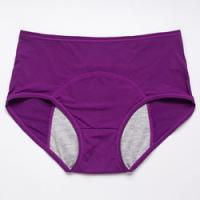 China Organic Women Panties Menstrual Period Stained Leak Proof Underwear for sale