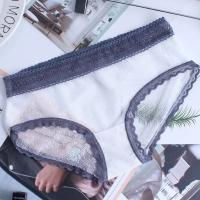 China 2023 Women Fashion Underwear Sexy Breathable Soft Thin Mesh Lace Panties for sale