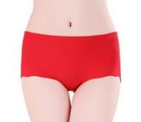 China Dropshipping Wholesale Cozy Underwear Plus Size Women&prime;s Panties Seamless Panties for sale