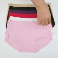 China Women High Elastic Underwear Seamless Plus Size Panties Sexy Comfortable Brief for sale