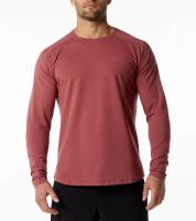 China Factory Custom Logo Men&prime;s Fitted Long Sleeve 94% Cotton 6% Elasticity Custom Logo Shirt for sale