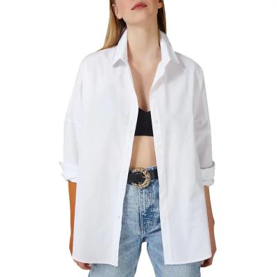 China Womens Long Sleeve Shirts Solid Color Button Down Blouses Casual Fit for sale