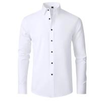 China Shirt Free Ironing Long Sleeve Elastic Business High-End Men&prime;s Shirt Hot Selling Office Formal Style Men&prime;s Long Sleeve Shirt for sale