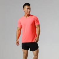 China Custom Logo T Shirt 95%Cotton 5%Spandex Gym Fitness Training Plain Men T Shirt for sale