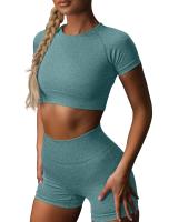 China Hot Sale Sports Yoga Clothing Gym Fitness Wear High Waisted Workout Shorts Custom Yoga Set for sale
