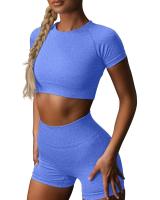 China Hot Sale Sports Yoga Clothing Gym Fitness Wear High Waisted Workout Shorts Custom Yoga Set for sale