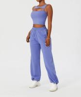 China Autumn Winter Stylish Gym Fitness Set Outdoor Jogger Trousers Workout Yoga Crop Top Two Piece Activewear Set for sale