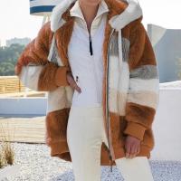 China Winter Warm Women&prime;s Jacket Plush Patchwork Zipper Women&prime;s Coats Casual Hooded Loose Jacket for Women for sale