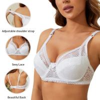 China Plus Size Big Women Bra Transparent Lace Thin Big Breast Bra Full Coverage Breast Sexy Bra for sale