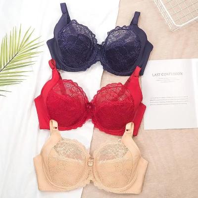 China Big Size Ladies Lace Bra Steel Ring Comfortable Gather Thin Cup Full Cup 38 Bra Size Plus Size Women Lace Bra for sale