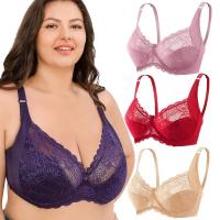 China Big Size Ladies Lace Bra Steel Ring Comfortable Gather Thin Cup Full Cup 38 Bra Size Plus Size Women Lace Bra for sale
