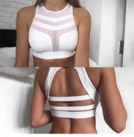 China Seamless Cotton Women Underwear Wireless High Impact Sports Bras for sale