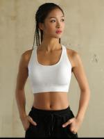 China Sexy Seamless Padded Bra Gym Workout Fitness Wire Free Activewear for sale