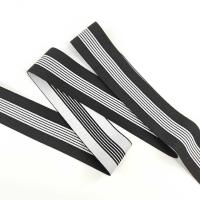 China Rich Size Verified Factory New Design Elastic Band Resistance Waistband Elastic Webbing for Clothes for sale