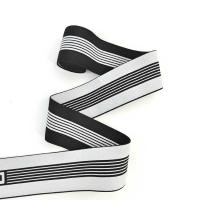 China Rich Size Verified Factory New Design Elastic Band Resistance Waistband Elastic Webbing for Clothes for sale