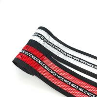 China Free Samples Mesh Elastic Web Band Net Elastic Lace Band Fancy Color Decoration Elastic Band for Women for sale