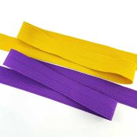 China Woven Elastic Band Comfortable Narrow Nylon Edge Tape Elastic Sublimated Elastic Band for sale