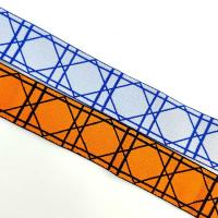 China Garment Accessories Decorative Polyester Skirt Elastic Webbing Belt Woven Webbing Elastic Band For Clothing for sale