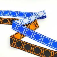 China Garment Accessories Decorative Polyester Skirt Elastic Webbing Belt Woven Webbing Elastic Band For Clothing for sale