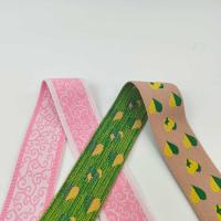 China High Quality and Cost Efficiency Decoration Jacquard Elastic Web Band for skirt for sale