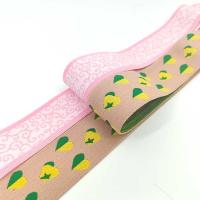 China High Quality and Cost Efficiency Decoration Jacquard Elastic Web Band for skirt for sale