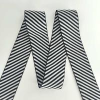 China Bias  Elastic Band Nice Quality Elastic Waistband Heavy Elastic Band for Clothes for sale