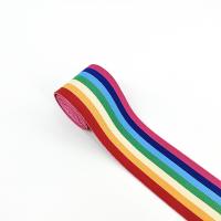 China Free sample manufacturer custom width logo rainbow elastic band for sale