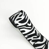 China Free sample custom nylon decorative waistband elastic with factory price for sale