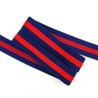 China Custom Underwear Elastic Band Suppliers Jacquard Ribbon Embroidered Elastic Band for Lingerie 40 mm for sale