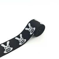 China Fast Delivery Elastic Webbing Black White Jacquard Elastic Daisy Elastic Band for Garment for sale
