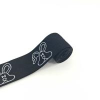 China Huge Inventory for Stocking Up Elastic Webbing Black White Jacquard Elastic Daisy Elastic Band for Garment for sale