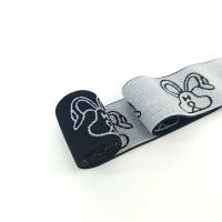 China Huge Inventory for Stocking Up Elastic Webbing Black White Jacquard Elastic Daisy Elastic Band for Garment for sale