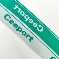 China Free Sample Jacquard Webbing Mint Color Elastic Band Jacquard Elastic Band Two Tone Elastic Band with Stripe and Letters for sale