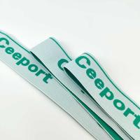China Free Sample Jacquard Webbing Mint Color Elastic Band Jacquard Elastic Band Two Tone Elastic Band with Stripe and Letters for sale
