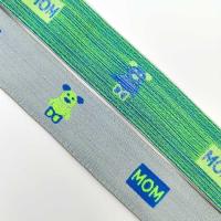 China Fast Delivery Jacquard Webbing Custom Logo Elastic Webbing Colorful Elastic Band Fancy Jacquard Elastic Band for sale