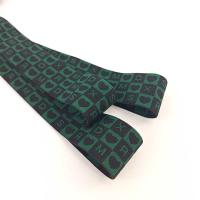 China 4 Day Sample Delivery Custom Elastic Web Band Decorative Elastic Waistband Stretchy Belts for Dresses for sale