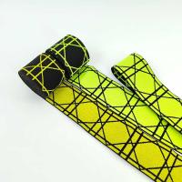 China Customized Elastic Edge Band Heavy Elastic Tape Stretchable Elastic Web Band for Clothes for sale