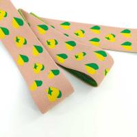 China Guangdong Factory New Design Jacquard Elastic Webbing Elastic Waistband Custom Stripe Webbing Elastic Woven Band for sale