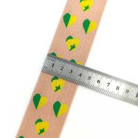 China Guangdong Factory New Design Jacquard Elastic Webbing Elastic Waistband Custom Stripe Webbing Elastic Woven Band for sale