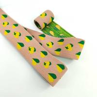 China Guangdong Factory New Design Jacquard Elastic Webbing Elastic Waistband Custom Stripe Webbing Elastic Woven Band for sale