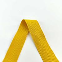 China Colorful Eco-friendly Invisible Waistband Soft Stretchy Webbing High Quality Elastic Trim Band for Clothes for sale