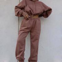 China Autumn Winter Jogger Jumper Gym Workout Women Fall 2 Piece Set Crop Top Oversize Hoodie Tracksuits for sale