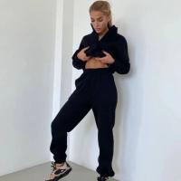 China Fall Winter Women Plain Tracksuits Casual Two Piece Crop Top Hoodies and Pants Set Fleece Custom Blank Tracksuit for Women for sale