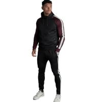 China Active Wear High Quality Heavyweight 100% Cotton Men Tracksuit Custom Full Zip Sweatpants and Hoodies Set for Men for sale