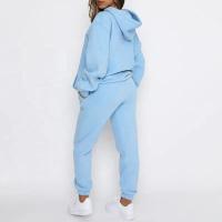 China Custom Logo Winter High Quality Casual Wool Sweatpants and Hoodie 2 Piece Sets Fitness Solid Color Cotton Fleece Women Tracksuit for sale
